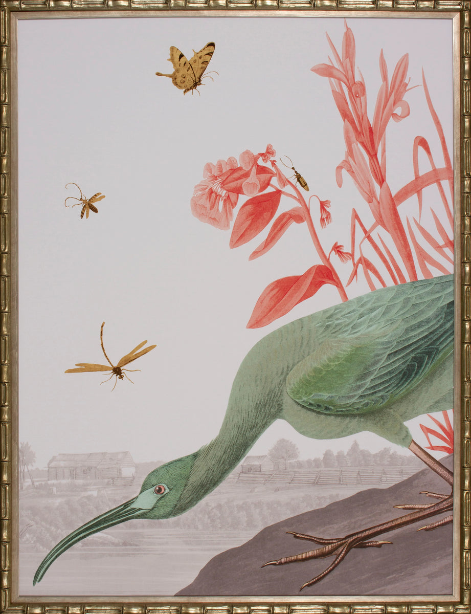 The Glossy Ibis Tropical Gold Frame – ABODE HOME